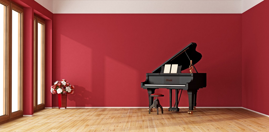 The Ultimate Guide to Choosing Pet Friendly Paint